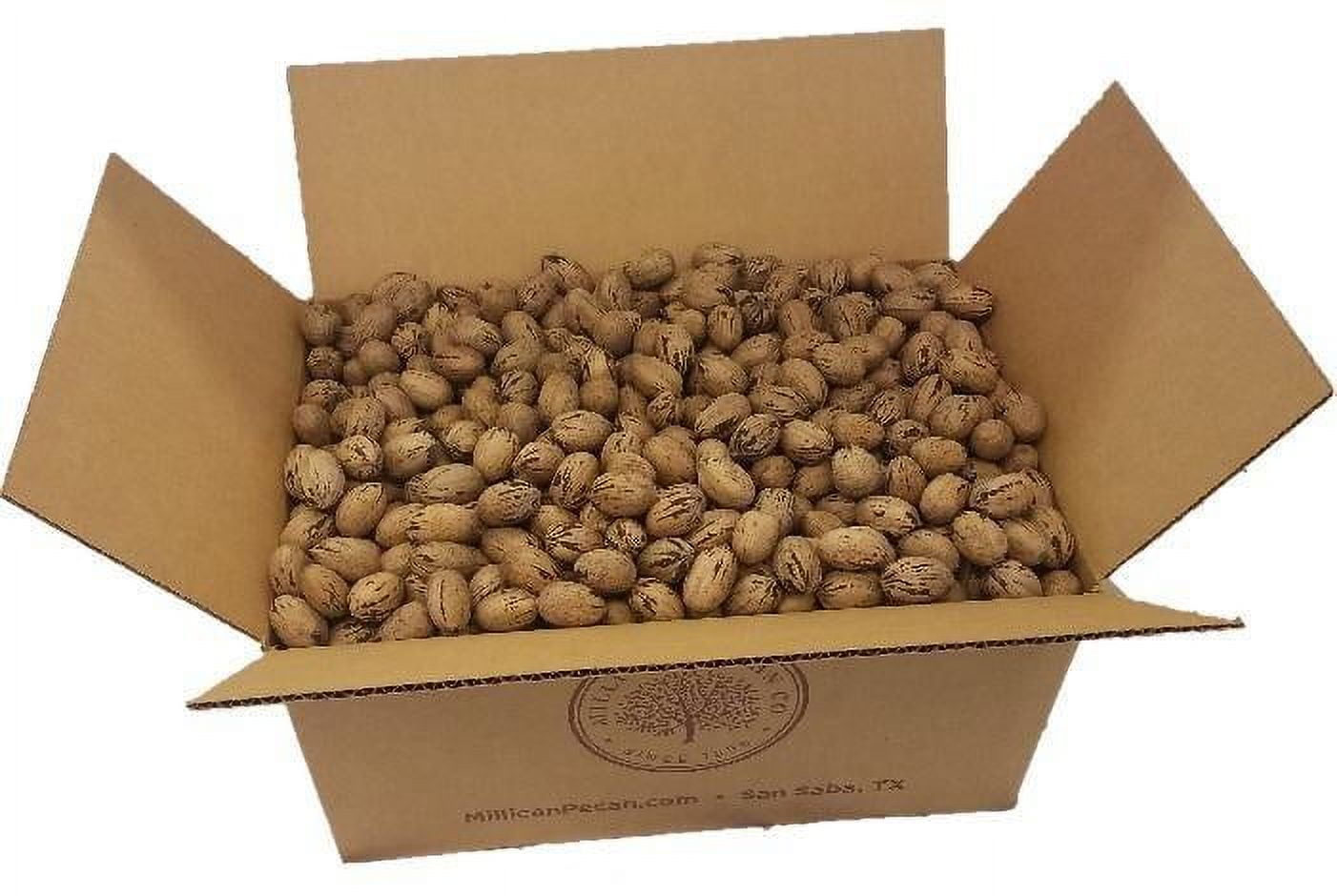 In Shell Pecans - Bulk - Walmart.com