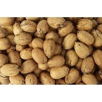 Shell Pecans Bag | Cashews for specialty food stores - Walmart Business ...