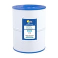 In The Swim Filter Cartridge Replacement for Watkins Hot Spring 65 Spa ...