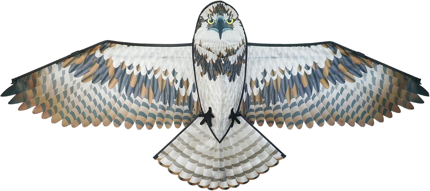 In the Breeze 3397 — 70-inch Osprey Kite — Realistic Printed Bird of ...