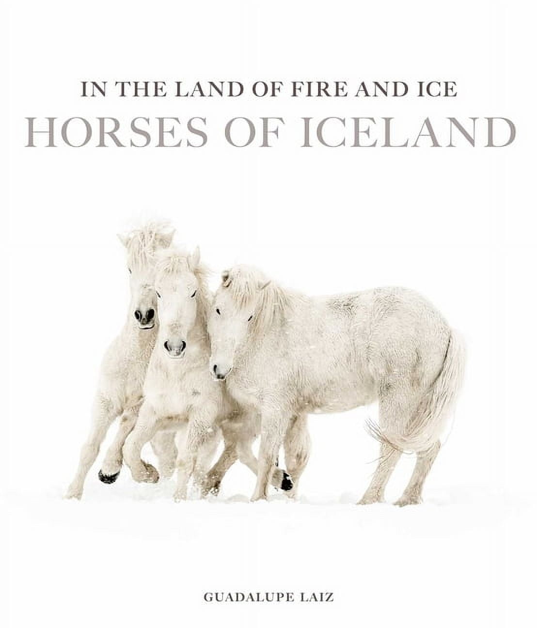 In the Land of Fire and Ice: Horses of Iceland, (Hardcover) - Walmart.com