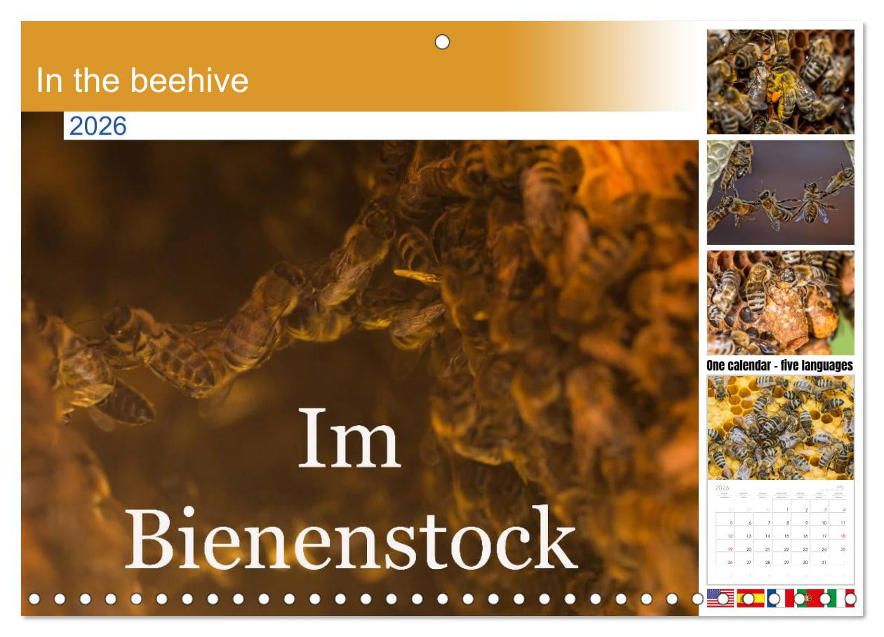 In the beehive (Monthly Wall Calendar 2026 16.5 x 23.4 (open ...