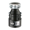 InSinkErator, Garbage Disposal, Badger 1, 1/3 HP Continuous Feed ...