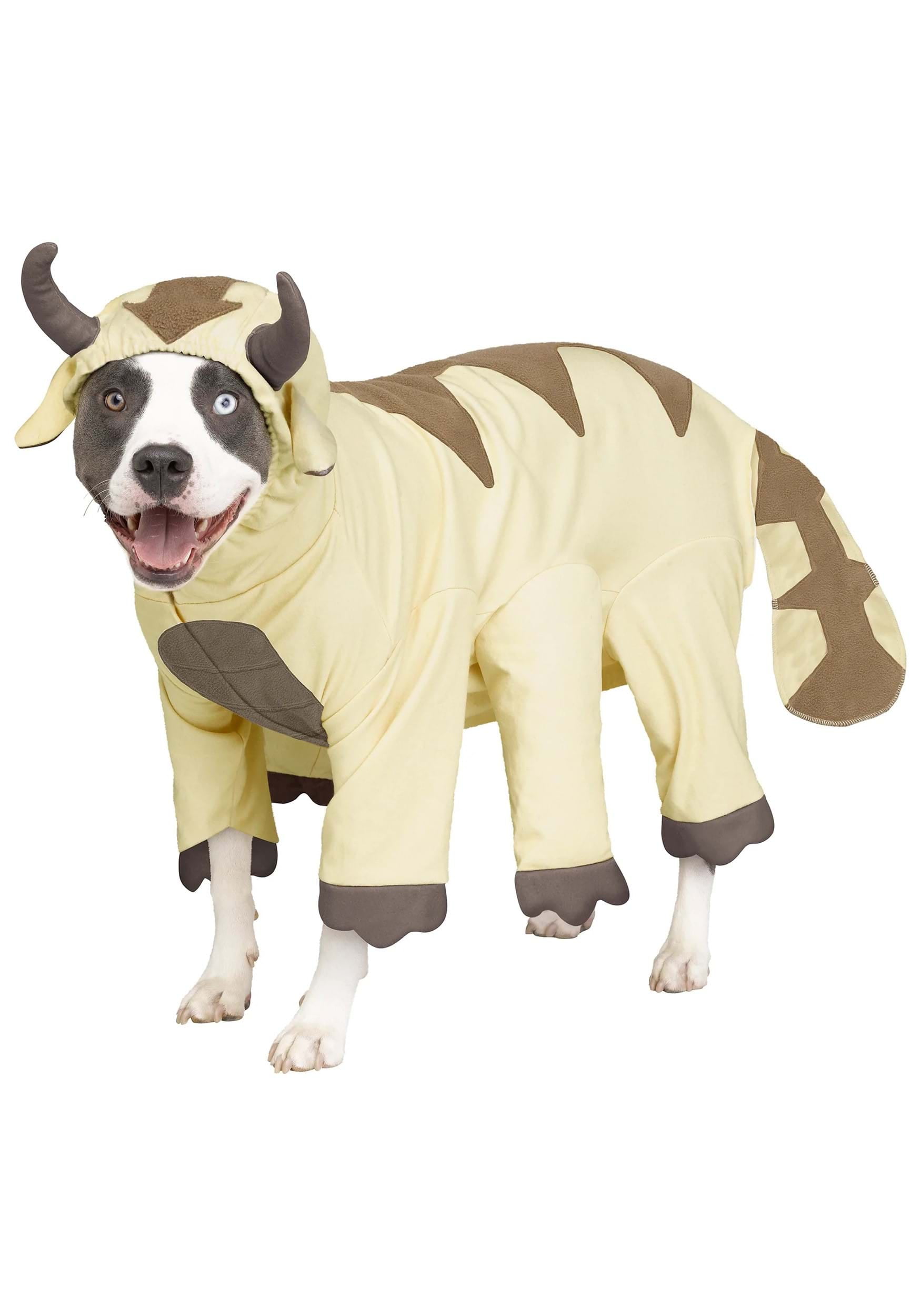 InSpirit Designs Avatar Appa Dog Costume, Jumpsuit with Attached Hood ...