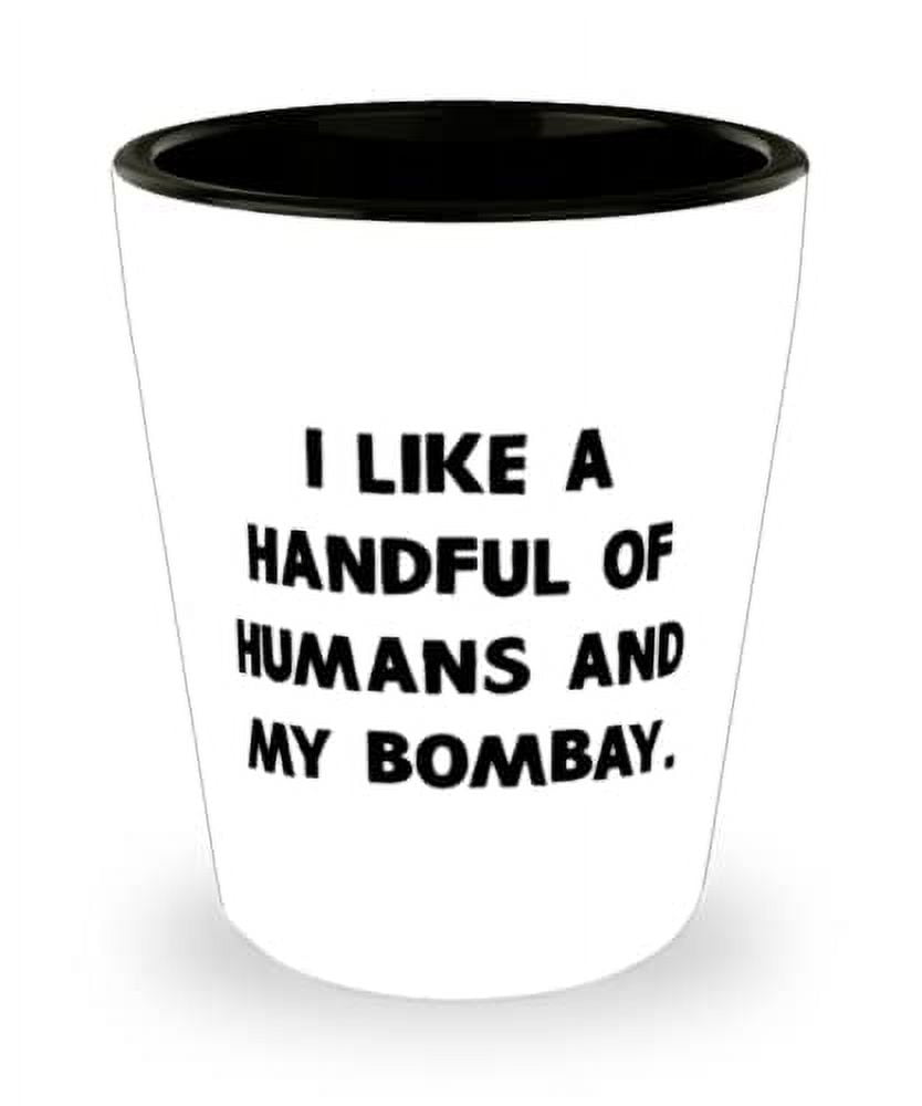 Inappropriate Bombay Cat Shot Glass, I Like a Handful of Humans and My ...