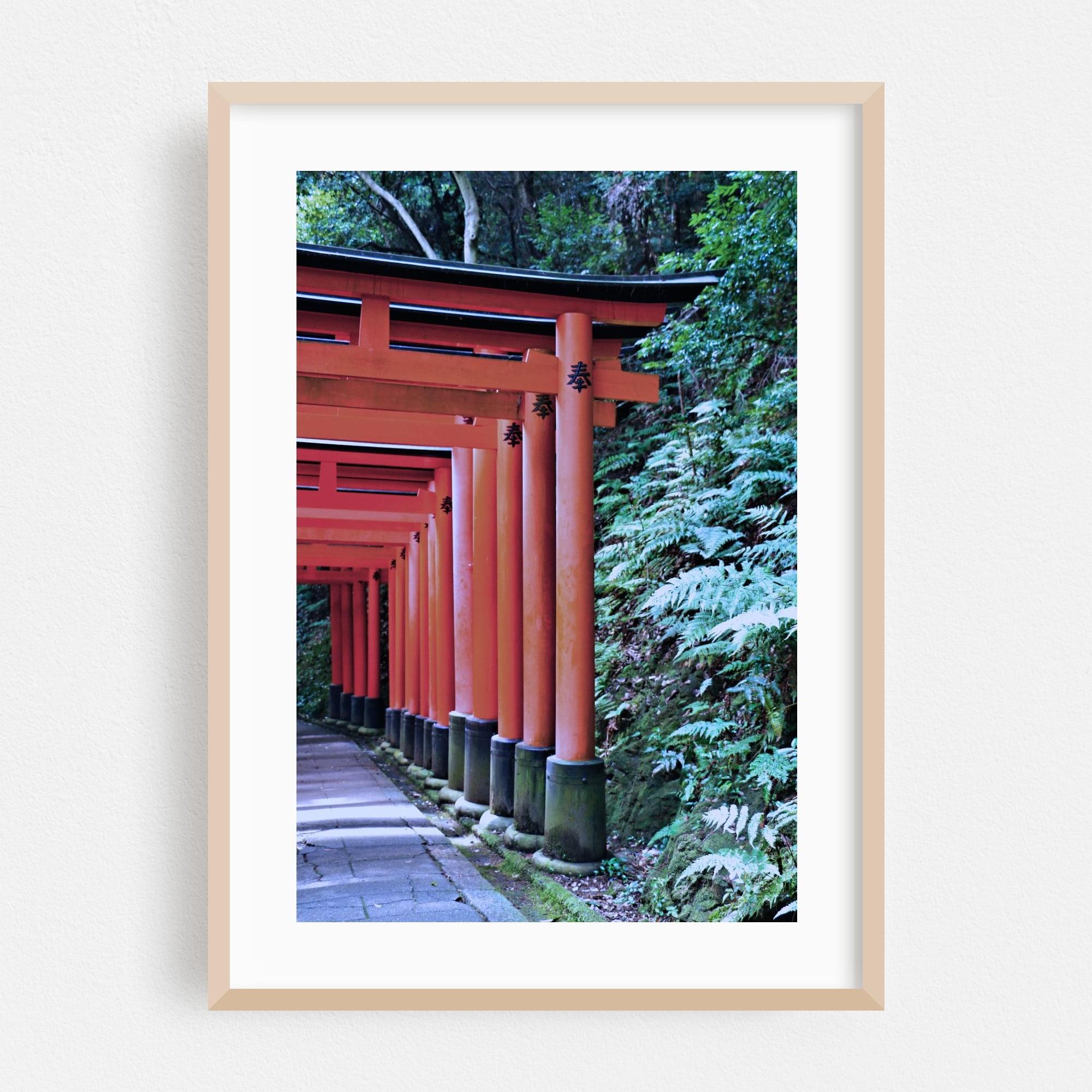 Inari Gates Galore - Fukakusa Yabunouchichō Kyoto Japan Photography ...