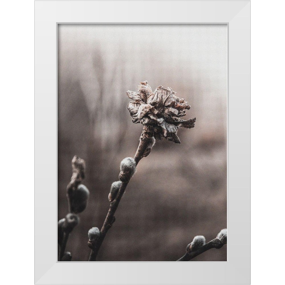 Incado 11x14 White Modern Wood Framed Museum Art Print Titled - Spring ...