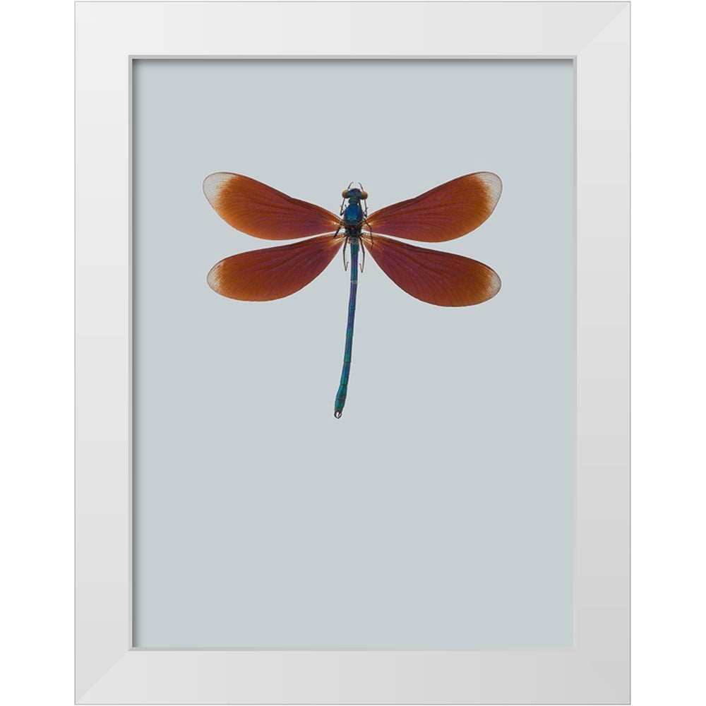 Incado 12x14 White Modern Wood Framed Museum Art Print Titled ...