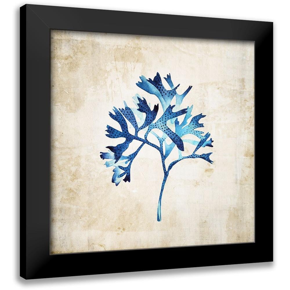 Incado 15x15 Black Modern Framed Museum Art Print Titled - Sea life I ...