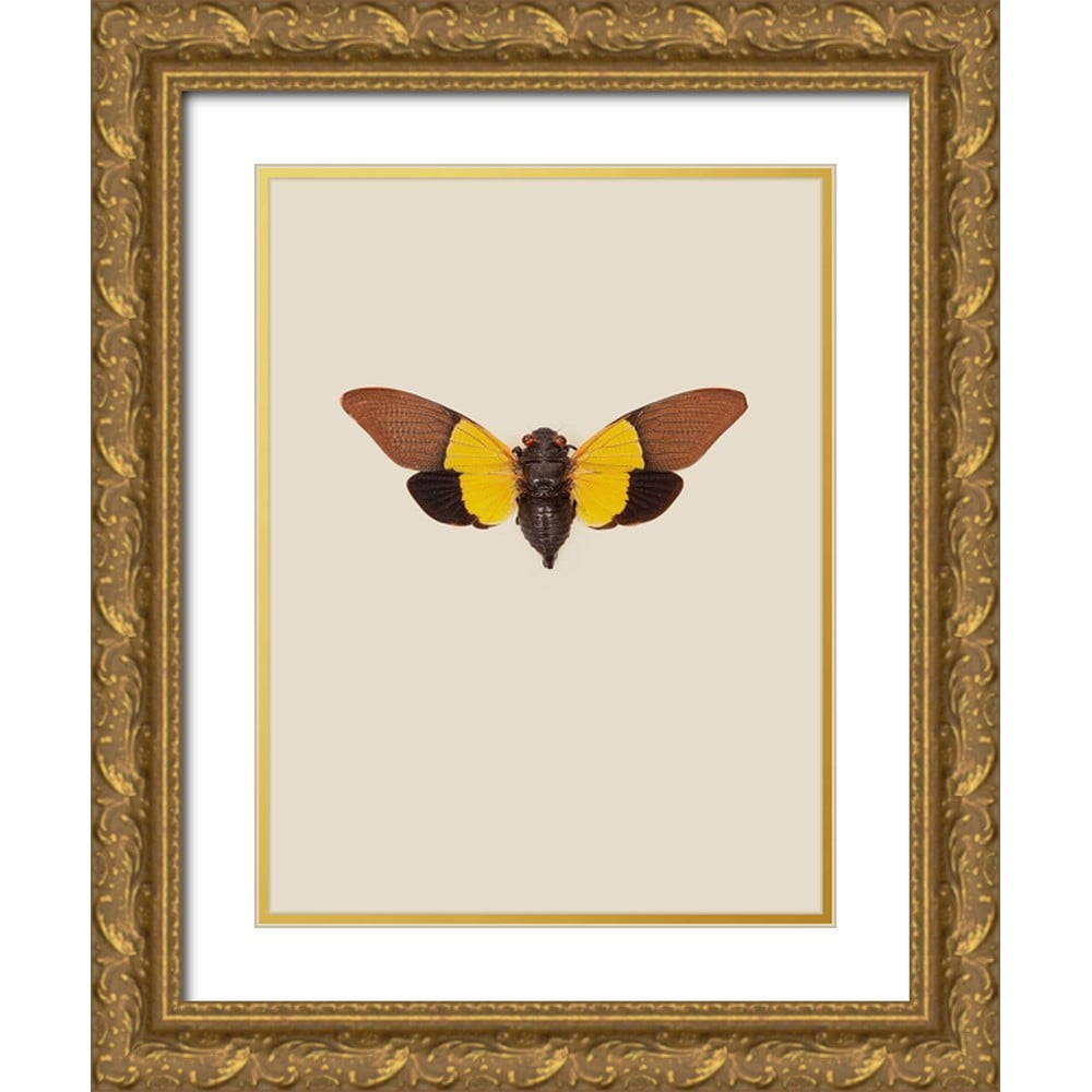 Incado 15x18 Gold Ornate Wood Framed with Double Matting Museum Art ...