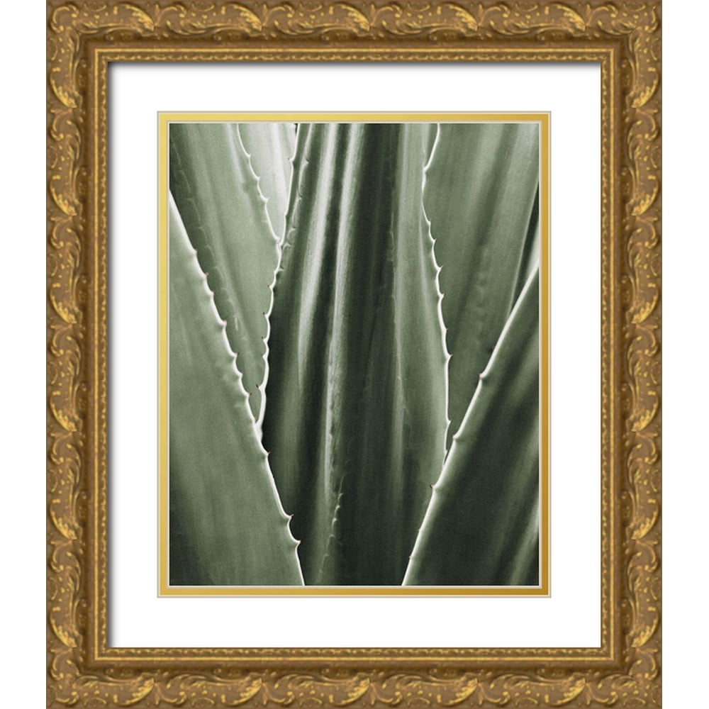 Incado 15x18 Gold Ornate Wood Framed with Double Matting Museum Art ...
