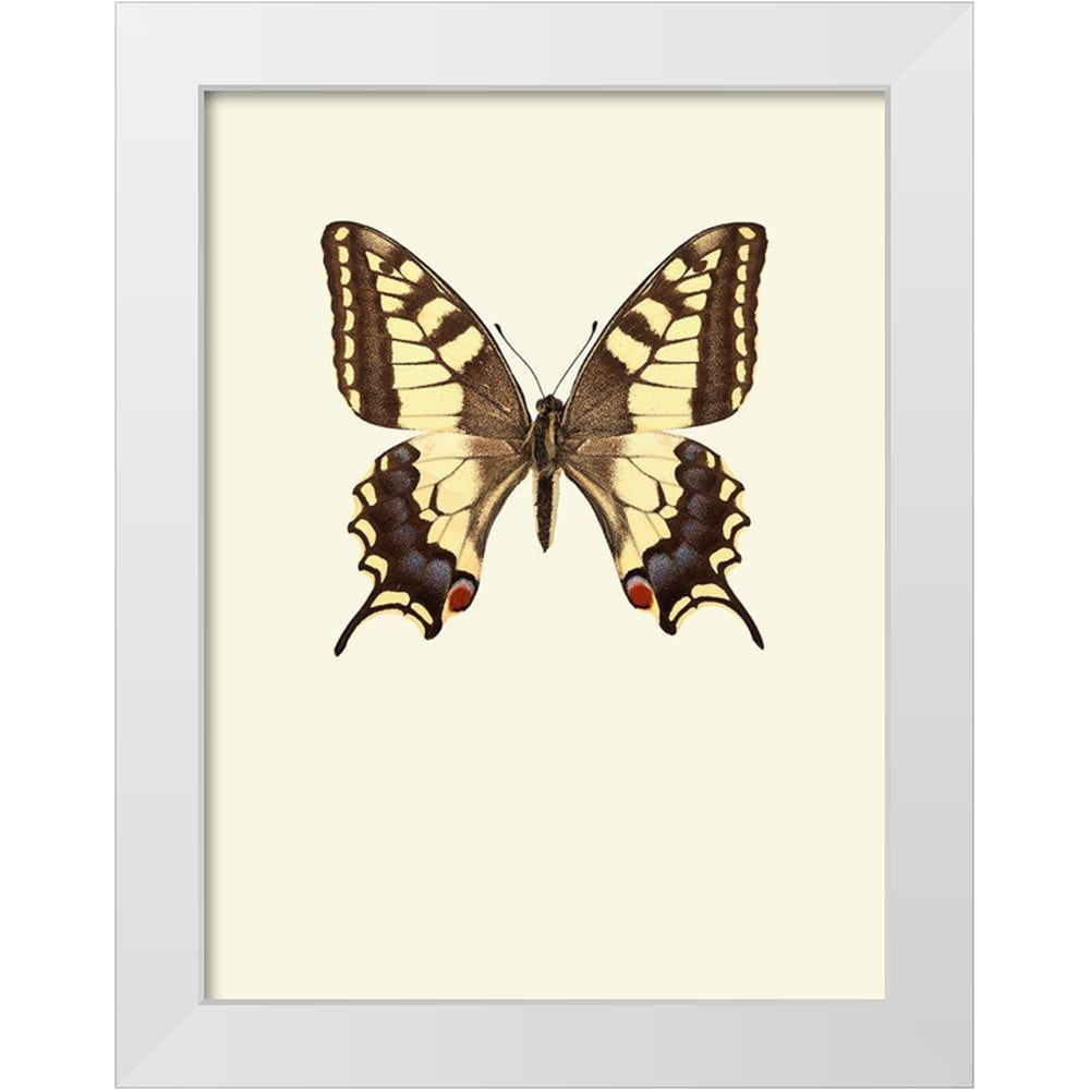 Incado 15x18 White Modern Wood Framed Museum Art Print Titled - Papilio ...