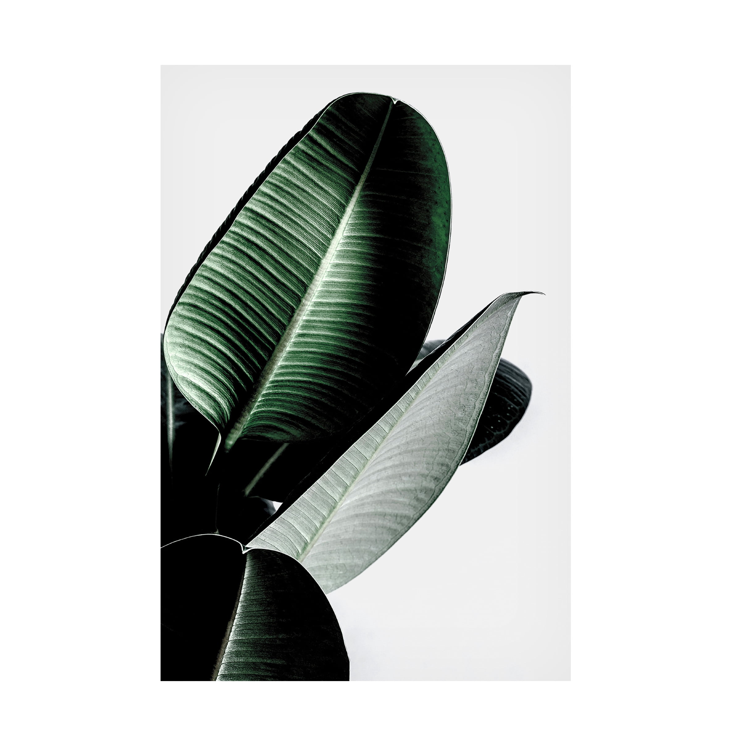 Incado 'Leaves' Canvas Art - Walmart.com