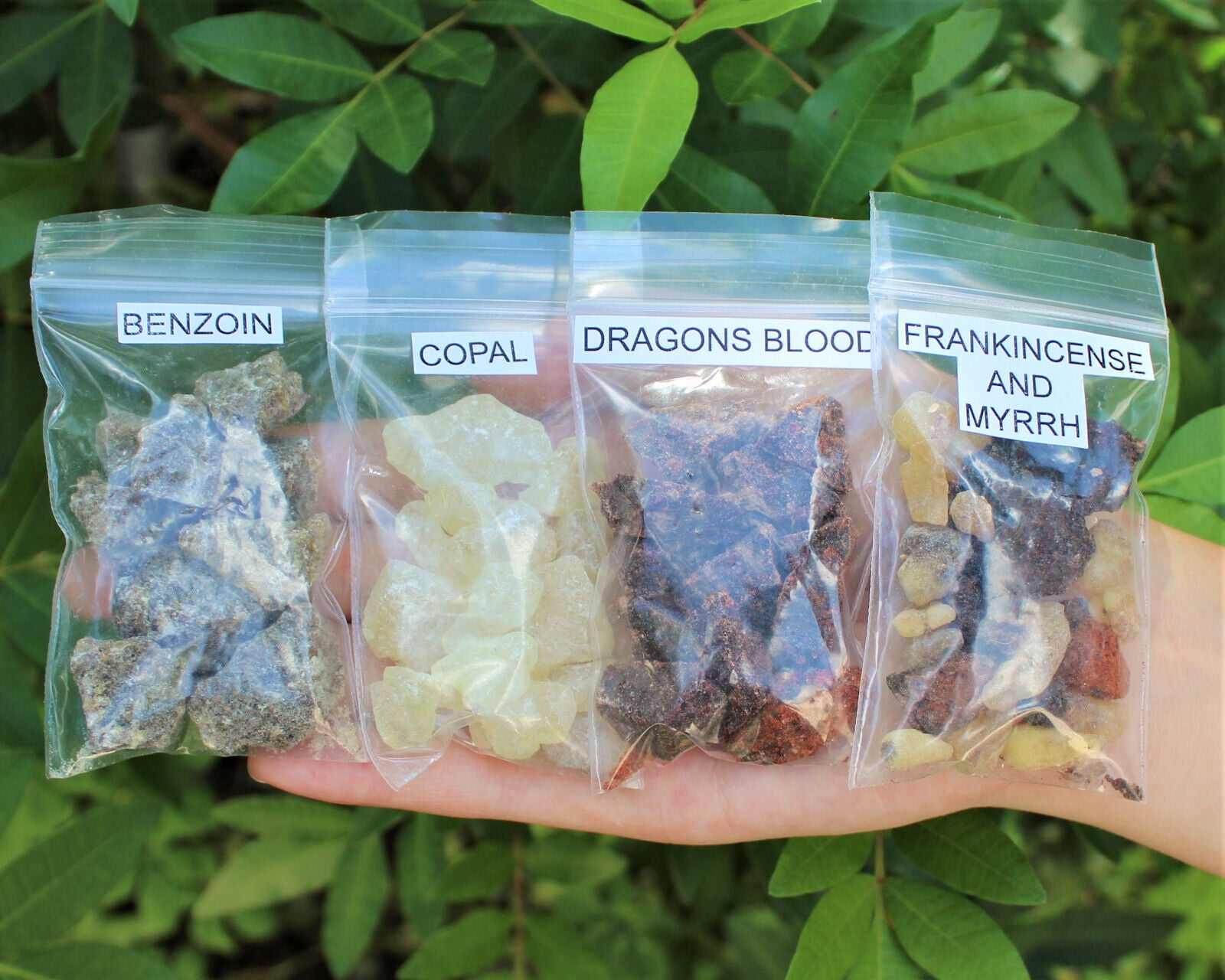 Incense Resin Sampler Set of 4, Copal Benzoin Dragons Blood ...