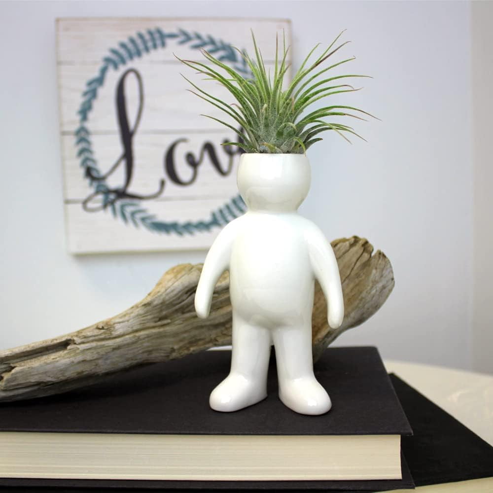 Inch White Ceramic Man Shaped People Planter with Tillandsia - Potted ...