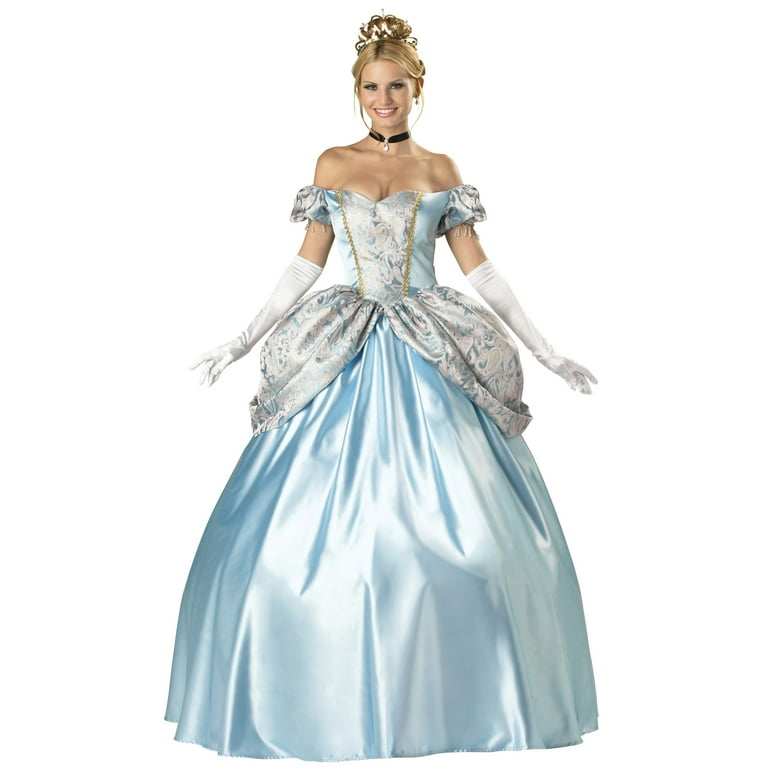 Disney Princess Costumes For Plus Size Women