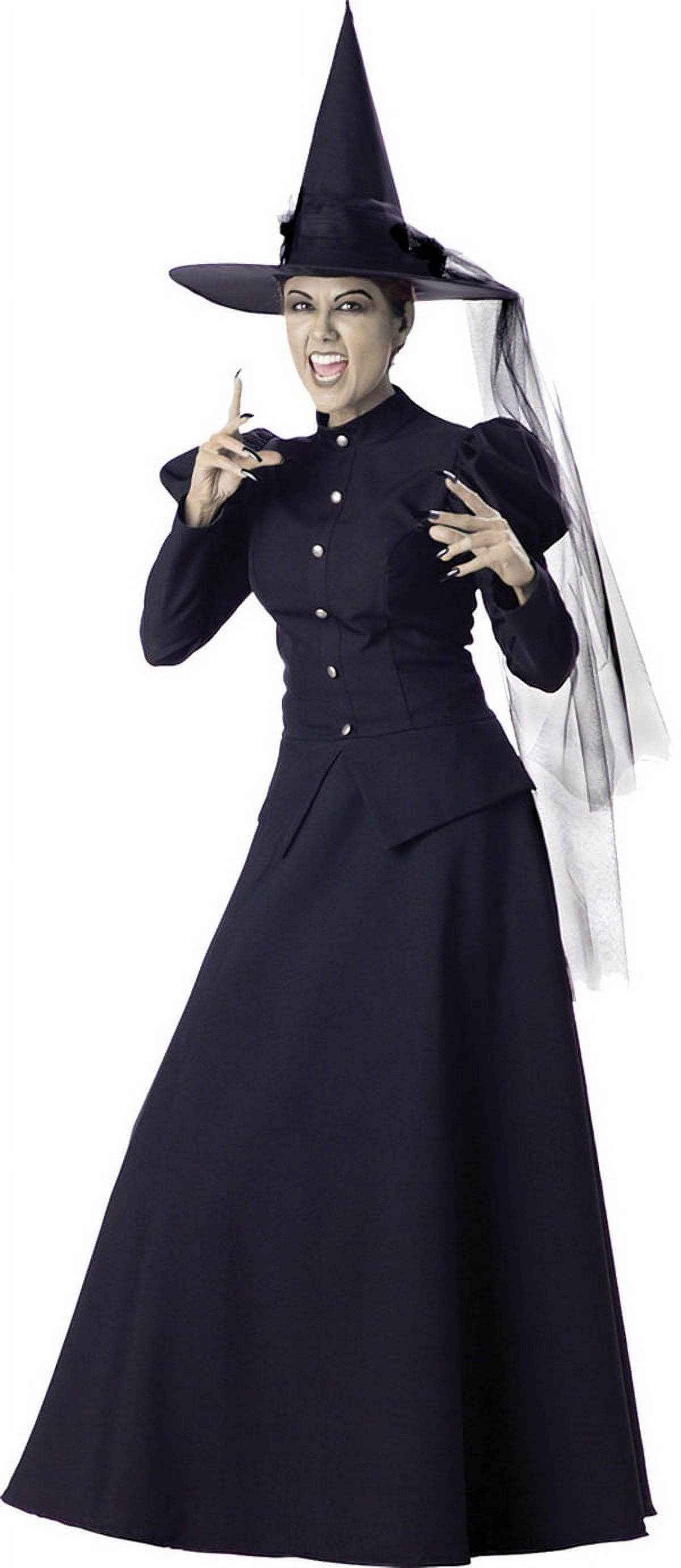 Incharacter IC1022MD Women's Wicked Witch Deluxe Costume - Medium ...