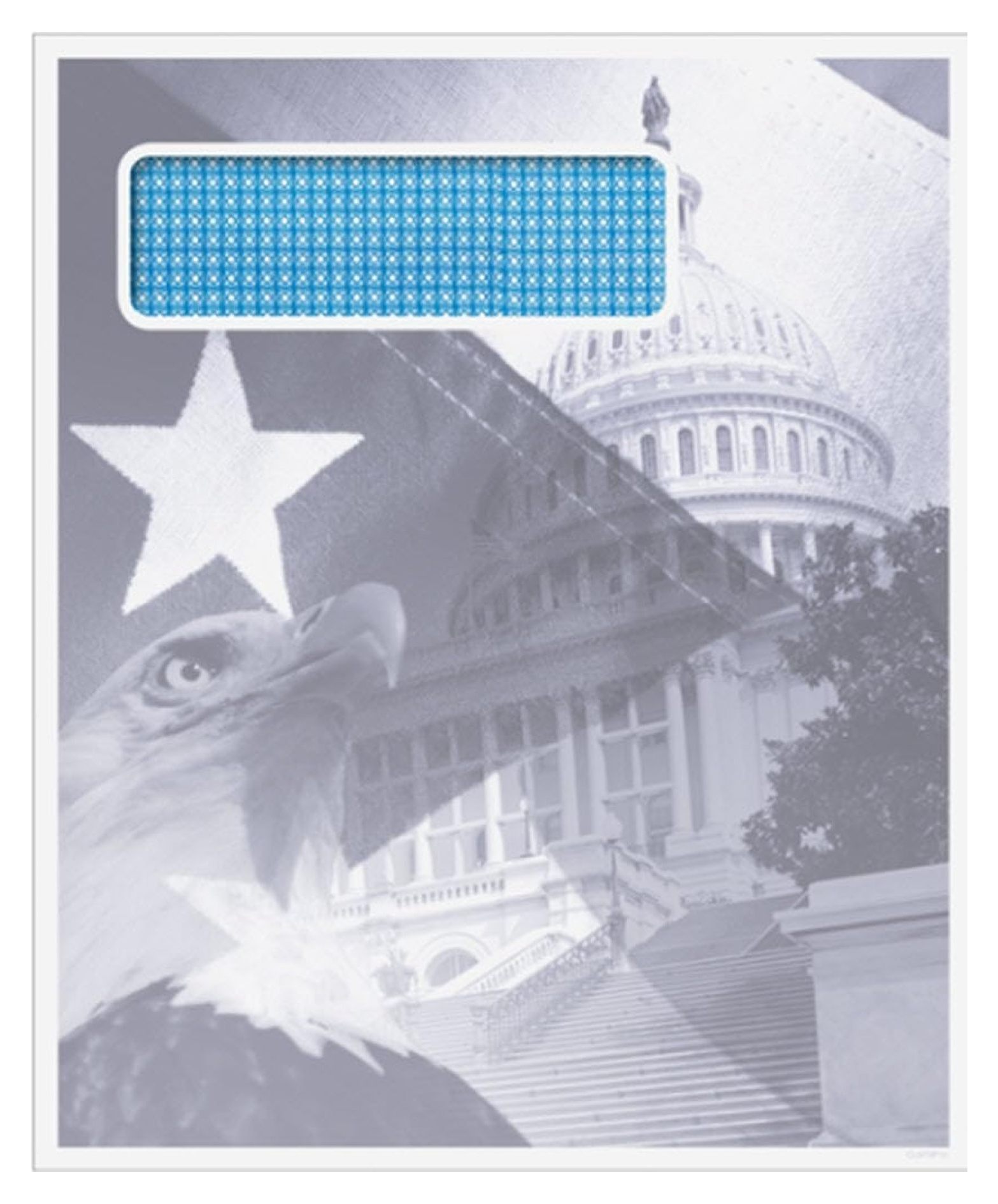 Income Tax Return Window Patriotic Envelope, Quantity 100, Moisture ...