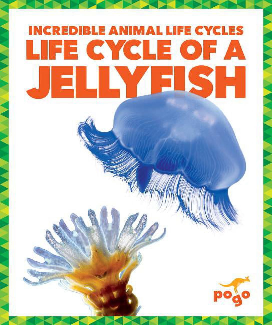 Incredible Animal Life Cycles: Life Cycle of a Jellyfish (Hardcover ...