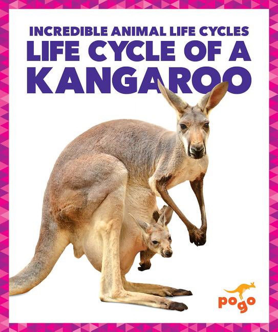 Incredible Animal Life Cycles: Life Cycle of a Kangaroo (Hardcover ...