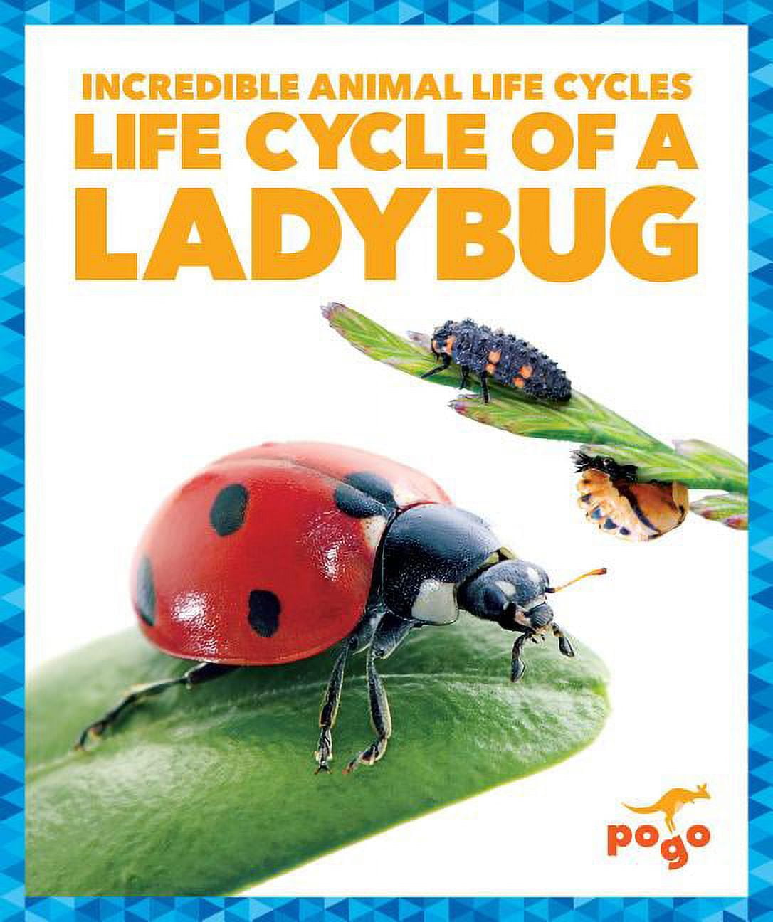 Incredible Animal Life Cycles: Life Cycle of a Ladybug (Hardcover ...