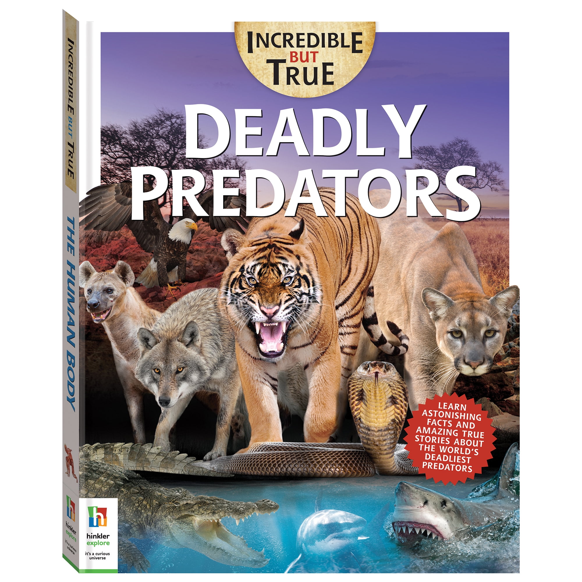 Predator Animals