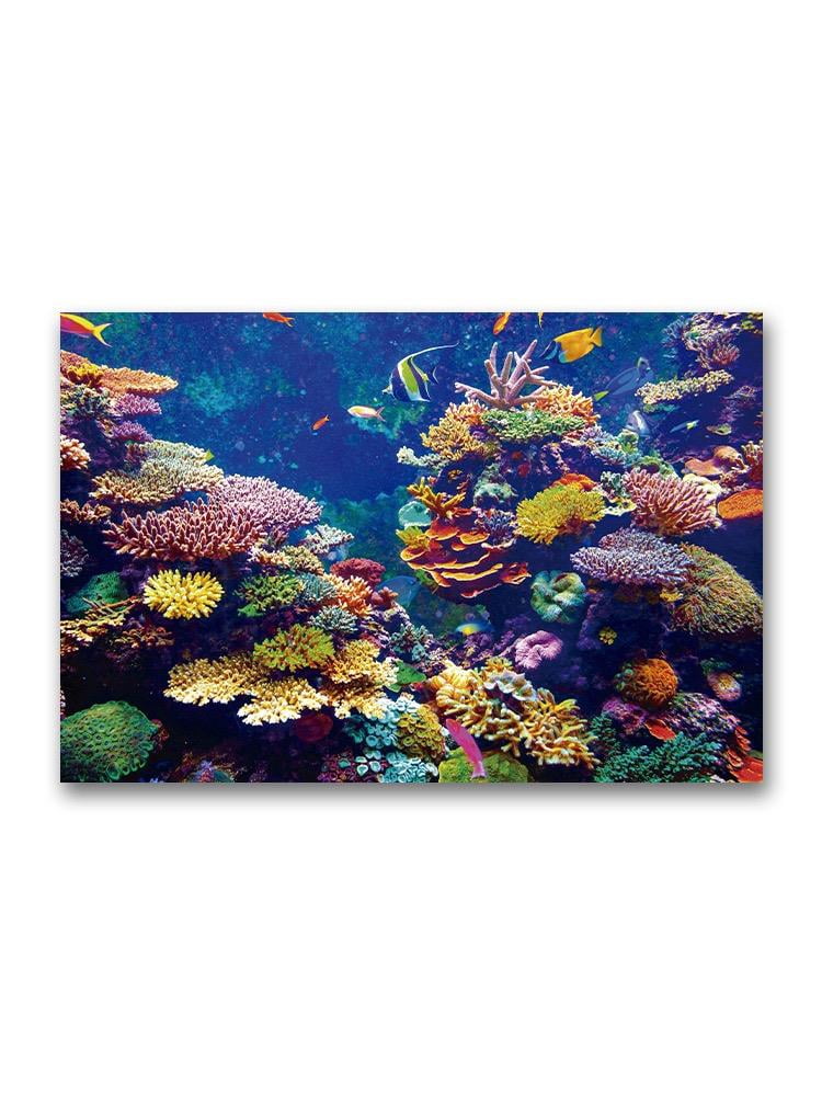 Incredible Coral Reef Scenery Poster -Image by Shutterstock - Walmart.com