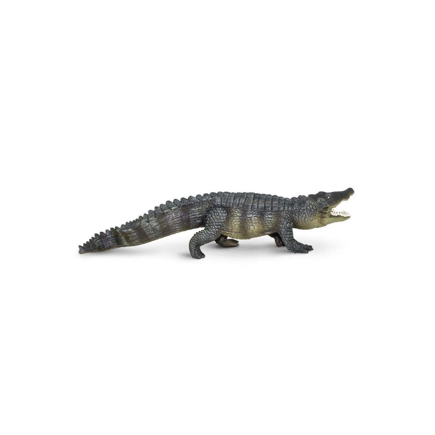 Safari Ltd. Saltwater Crocodile Figurine - Lifelike 12" Model Figure ...