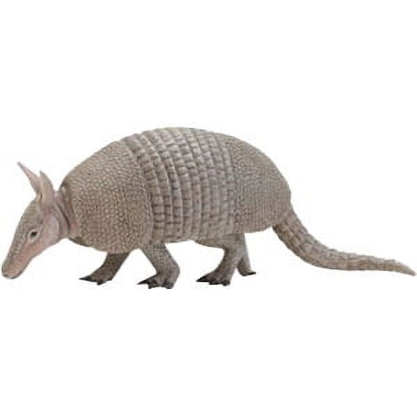 Safari Ltd. | Armadillo | Incredible Creatures | Toy Figurines for Boys ...