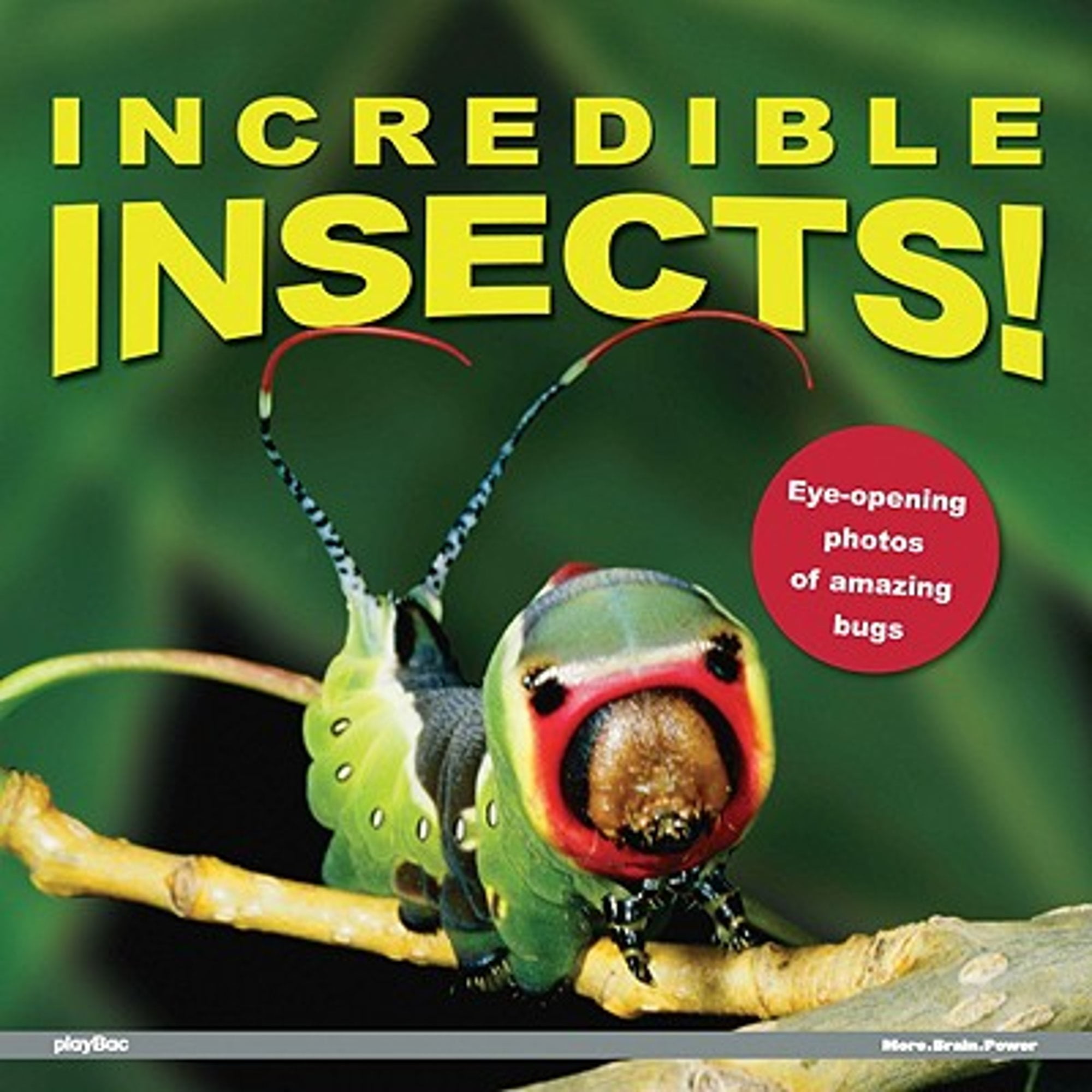 Pre-Owned Incredible Insects!: Eye-Opening Photos of Amazing Bugs ...