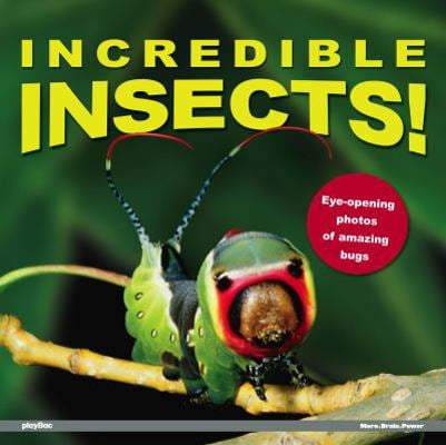 Pre-Owned Incredible Insects!: Eye-opening Photos of Amazing Bugs (Hardcover) 1602141045 ...