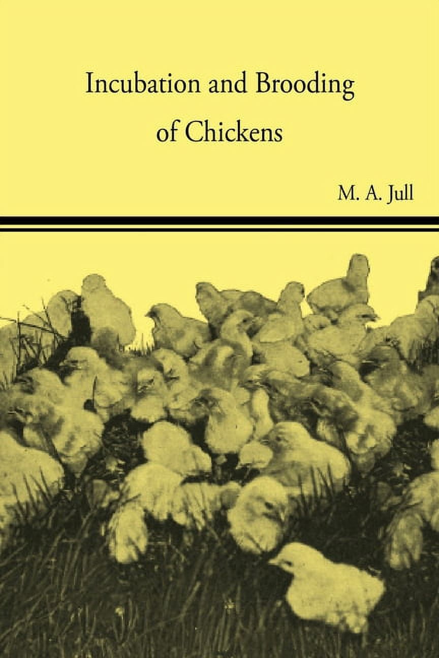 Incubation and Brooding of Chickens (Hardcover) - Walmart.com