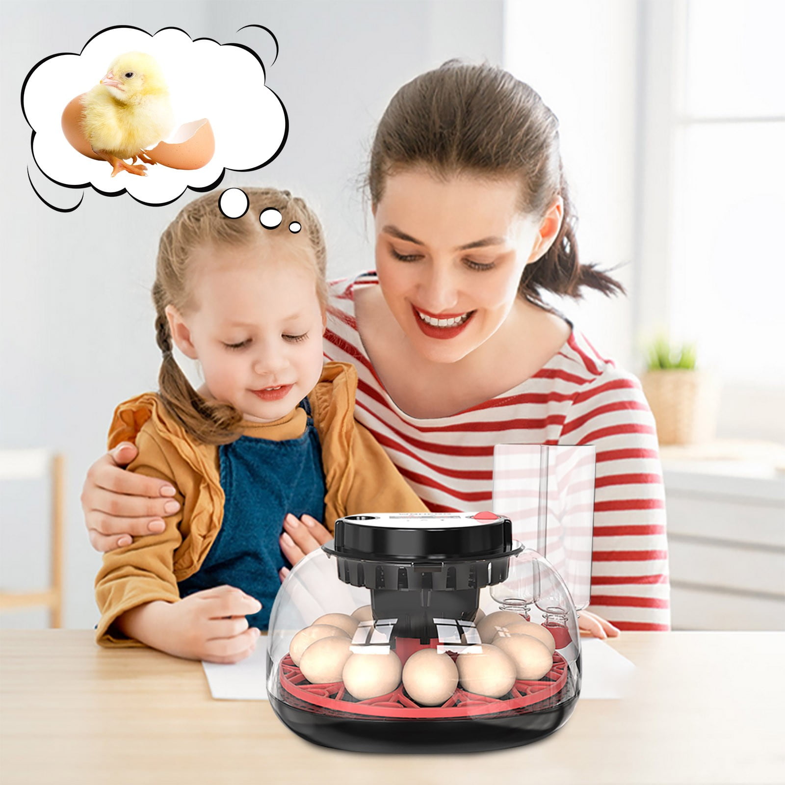 Incubator for Hatching Eggs-12 Egg Capacity, Automatic Egg Turner ...