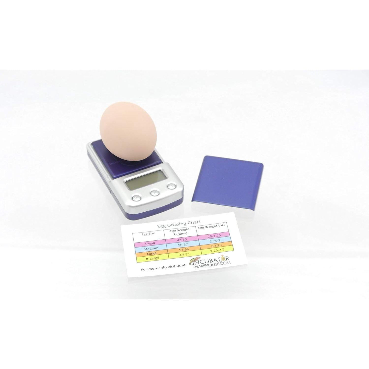 Incubator Warehouse Digital Egg Scale - Egg Size Scale with Blue ...