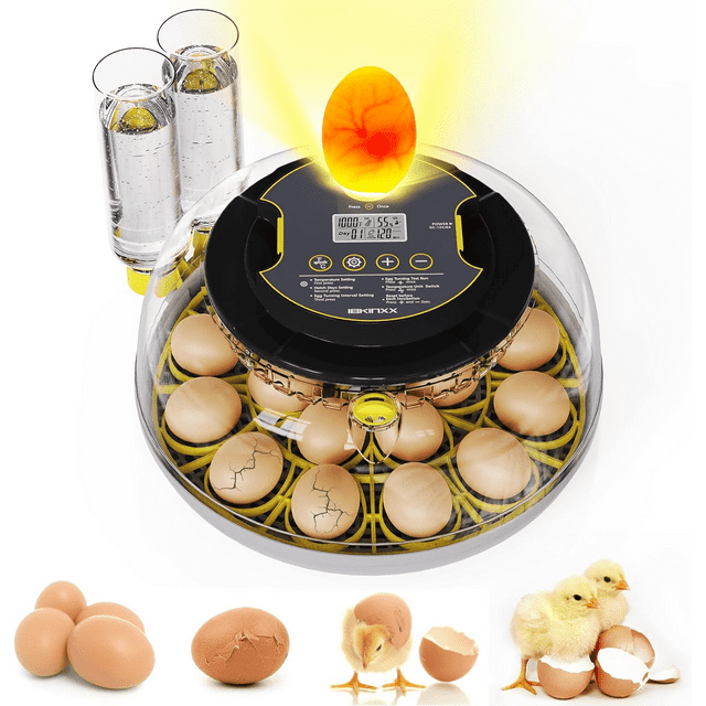 Incubator for Hatching Eggs-18 Egg Capacity, Automatic Egg Turner, Temperature & Humidity ...