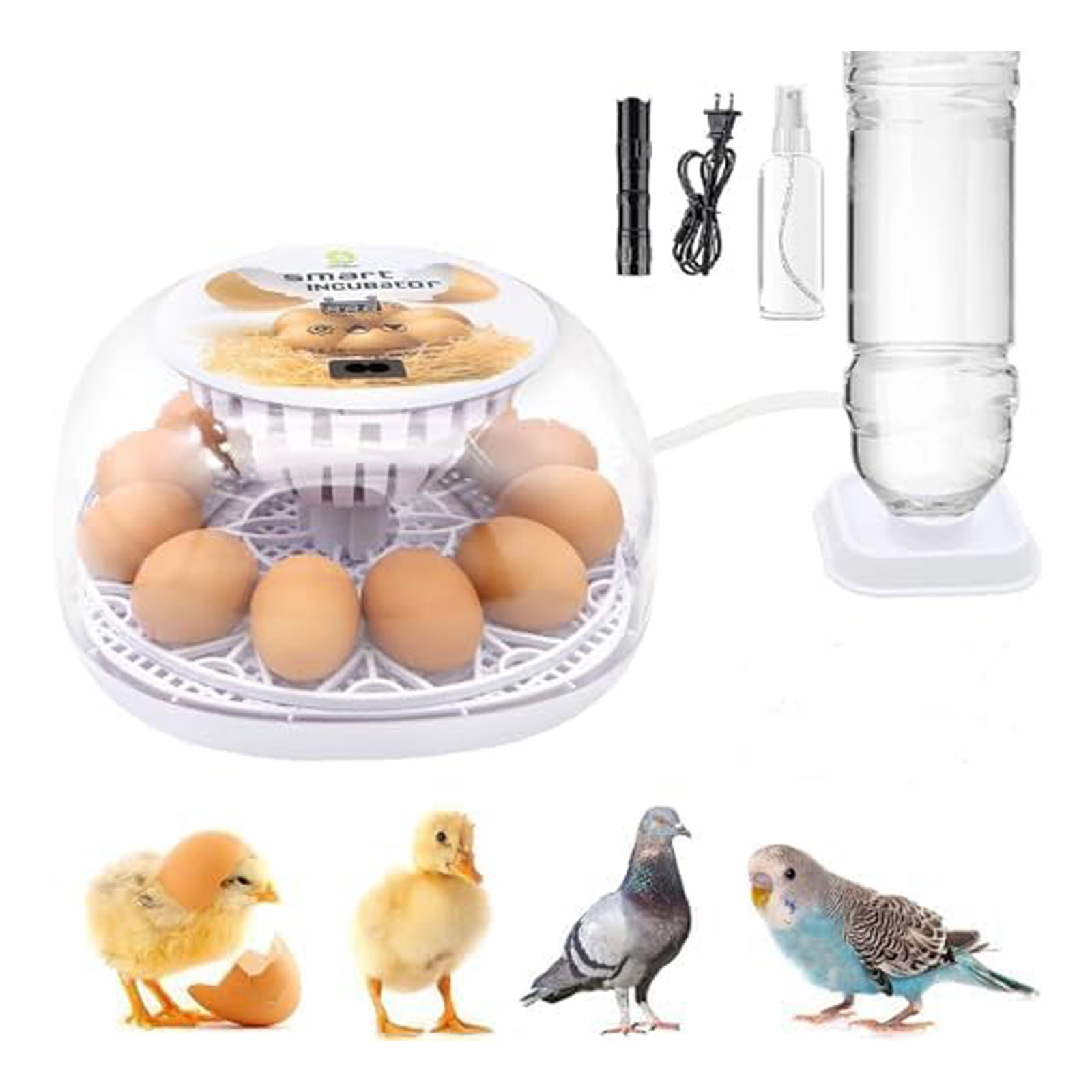 Incubators for Hatching Eggs, 12-24 Egg Incubators with Automatic Egg Turner, Temperature ...