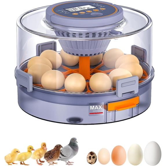 Incubators for Hatching Eggs, 12 Chicken Incubator with Automatic Egg ...