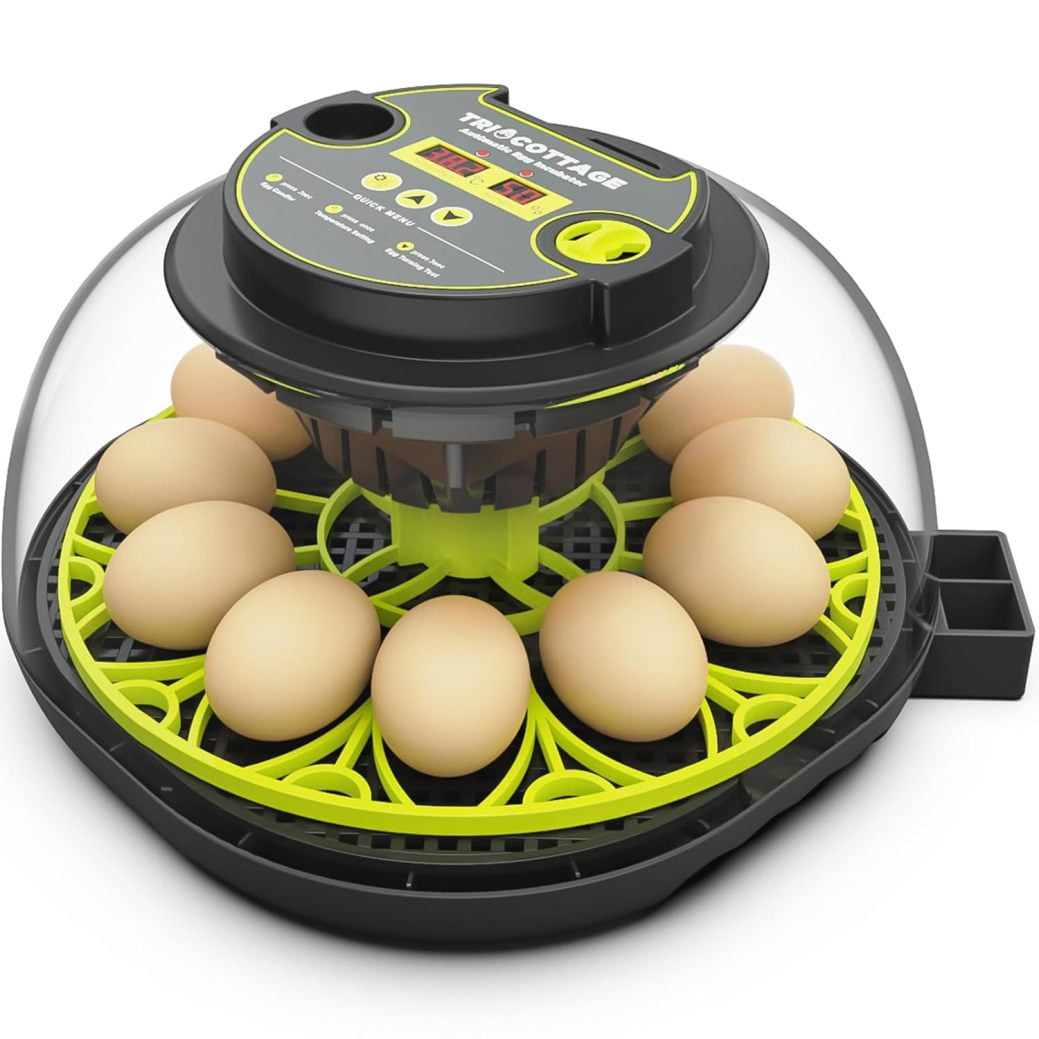 Incubators for Hatching Eggs 12 Egg Incubator with Automatic Egg Turning and Humidity Control ...