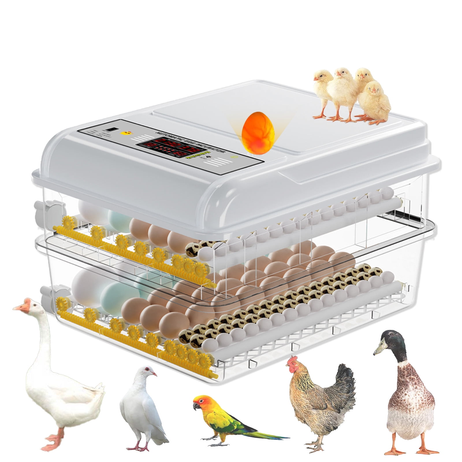 Hairycotar Egg Incubator, 120 Eggs Capacity, Automatic Turner ...