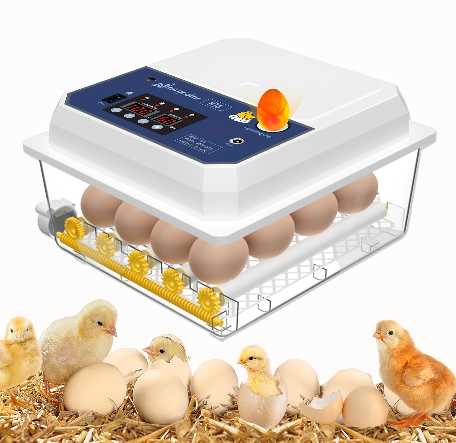 Hairycotar Incubators for Hatching Eggs, 16 Eggs Incubator with Automatic Egg Turning and ...