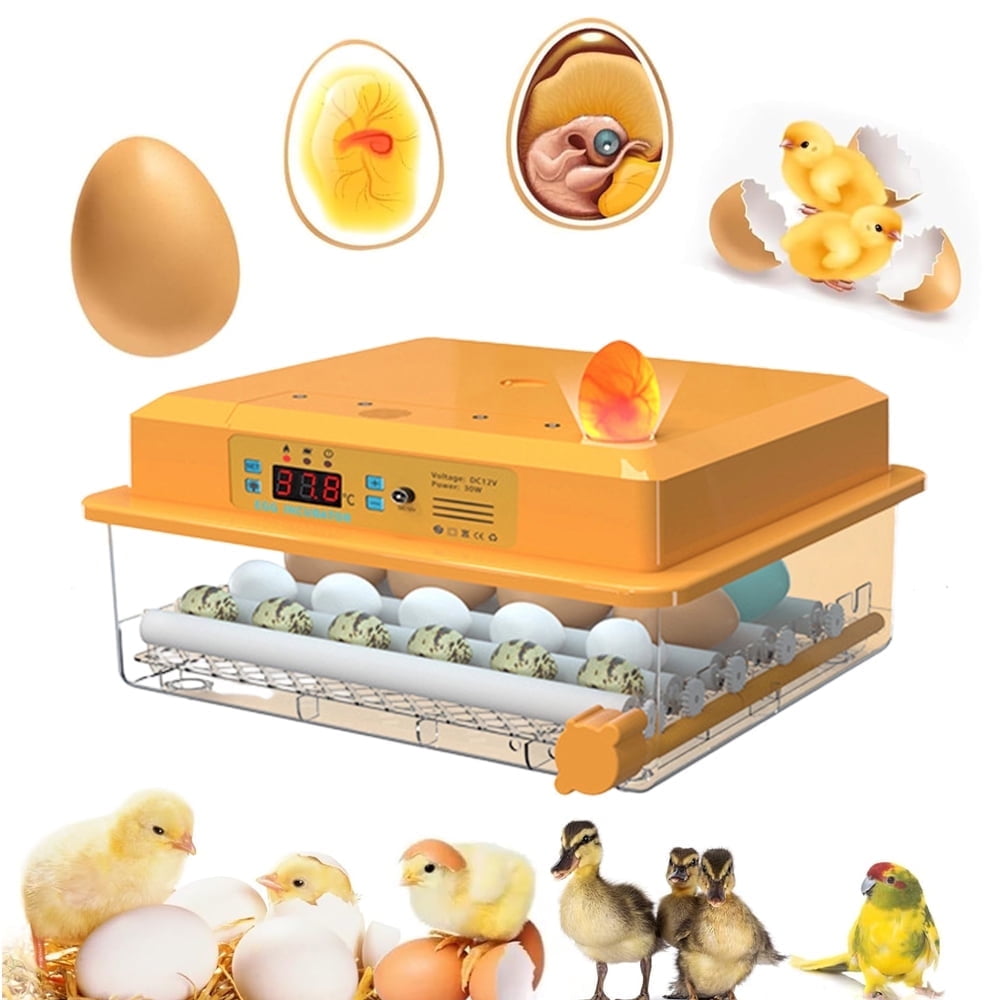 Incubators for Hatching Eggs, 16 Eggs Incubator with Automatic Egg ...