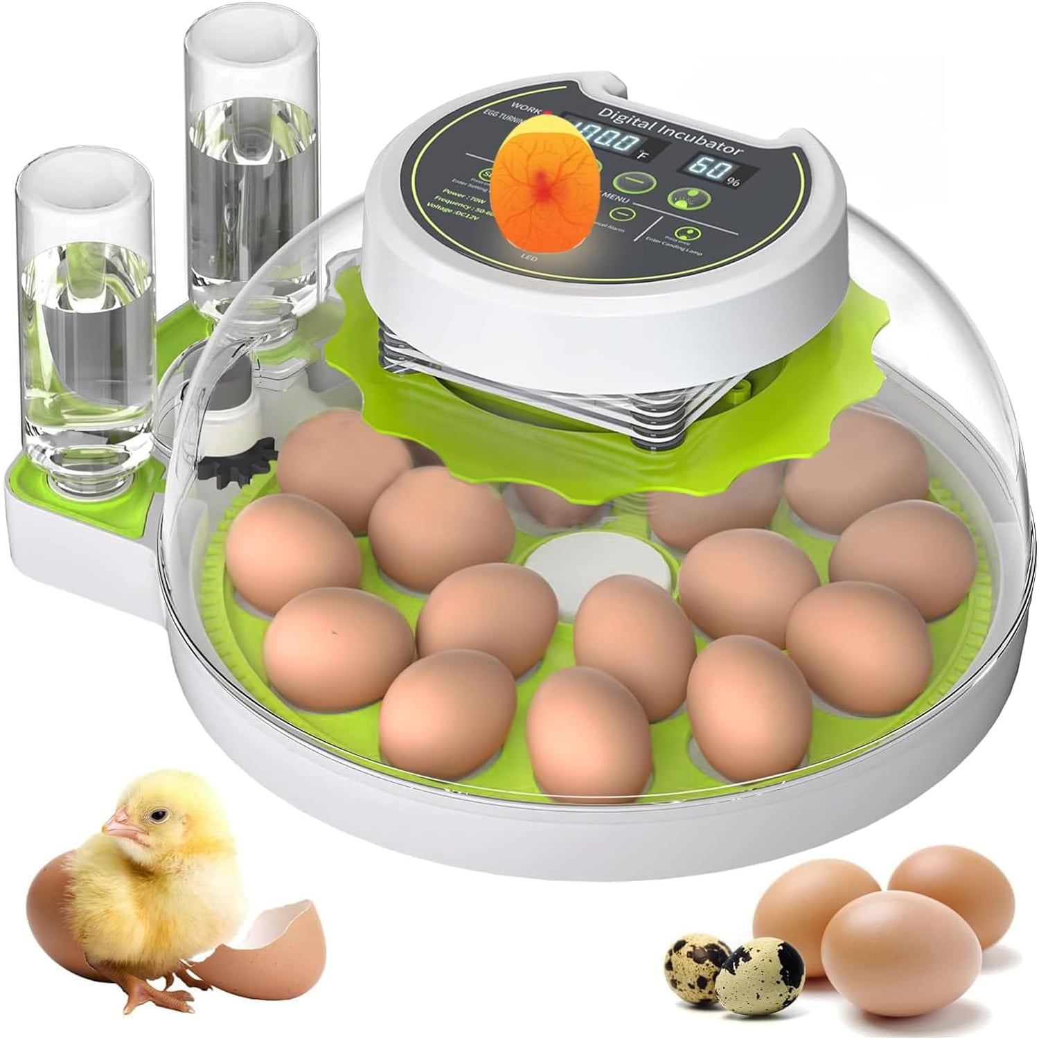 Free Shipping! Incubators for Hatching Eggs, 18 Egg Incubator with ...