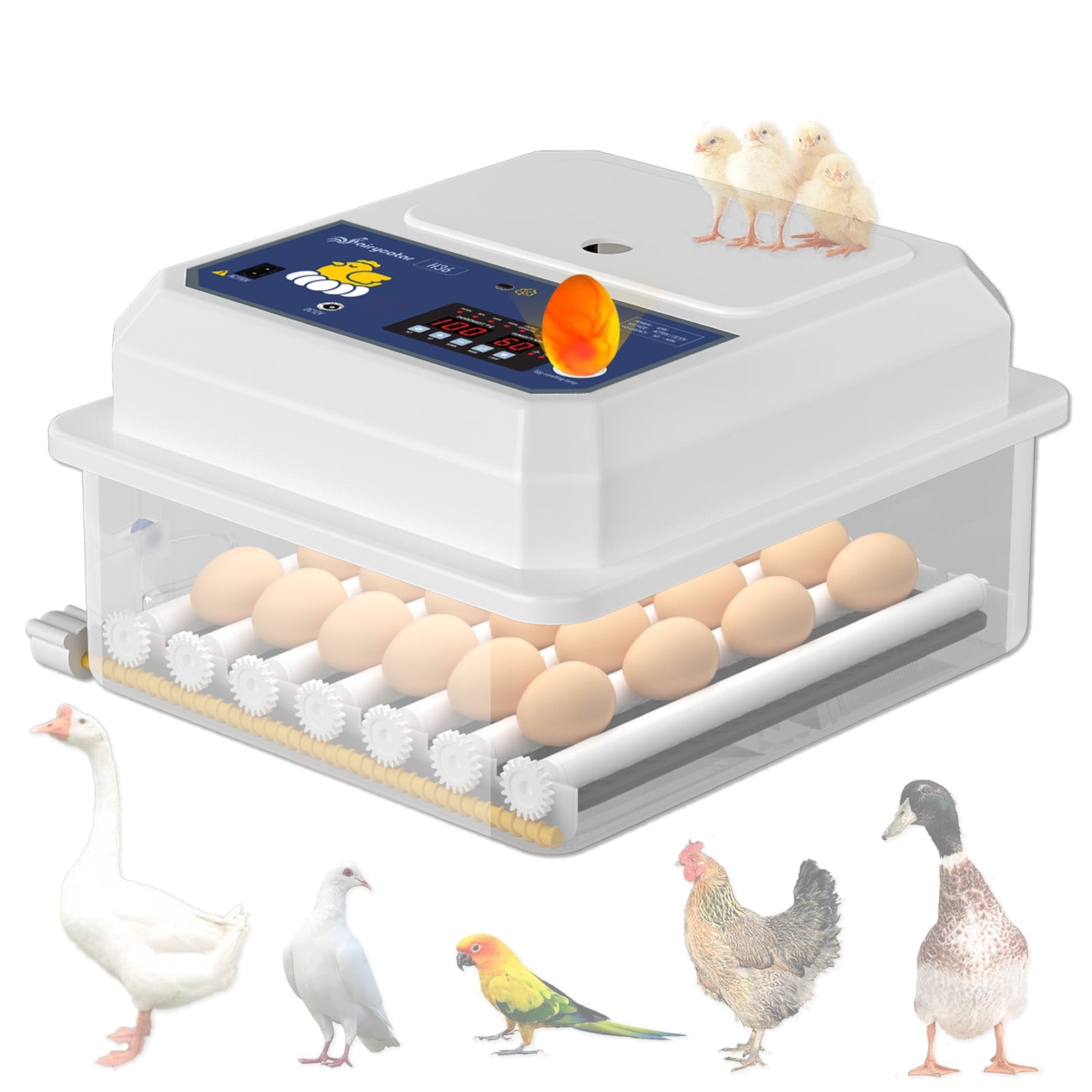 Incubators for Hatching Eggs - 36 Egg Incubator with Automatic Egg Turning and Temperature ...