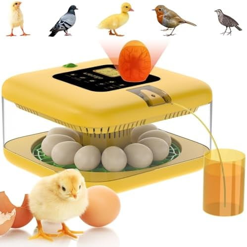 Incubators for Hatching Quail, Incubators for Hatching Chicks,Duck and Quail with Humidity ...