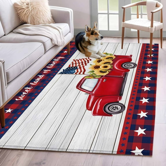 Independence Day Kitchen Runner Rug 2.7x5 Washable Runners for Hallway ...