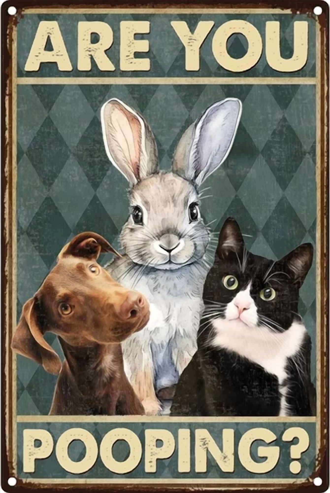 Indera Traditional Long Johns Thermal Underwear For Women - Walmart.com