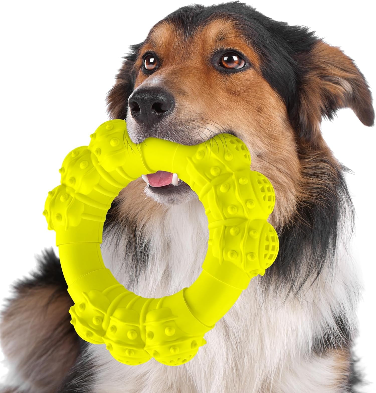 Indestructible Ring for Aggressive Chewers, Chewer Dogs for Medium ...