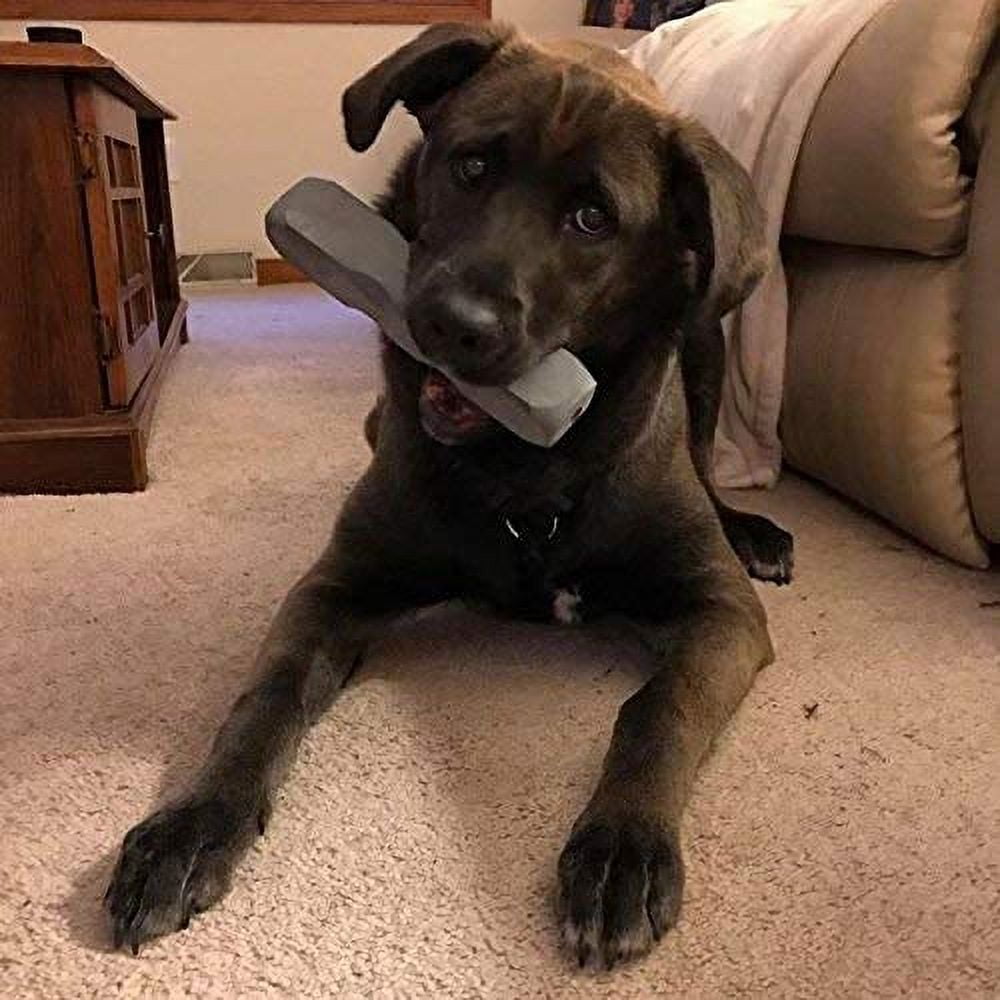 Indestructibone Extra Large Plus Chew Toy for Dogs 51-100 Pounds ...