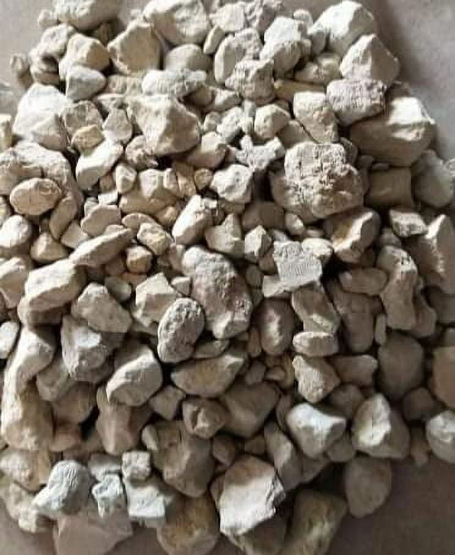 India Clay Sunflower Clay Crumbs, Powdery Texture, Soft Crunchy, Unique ...