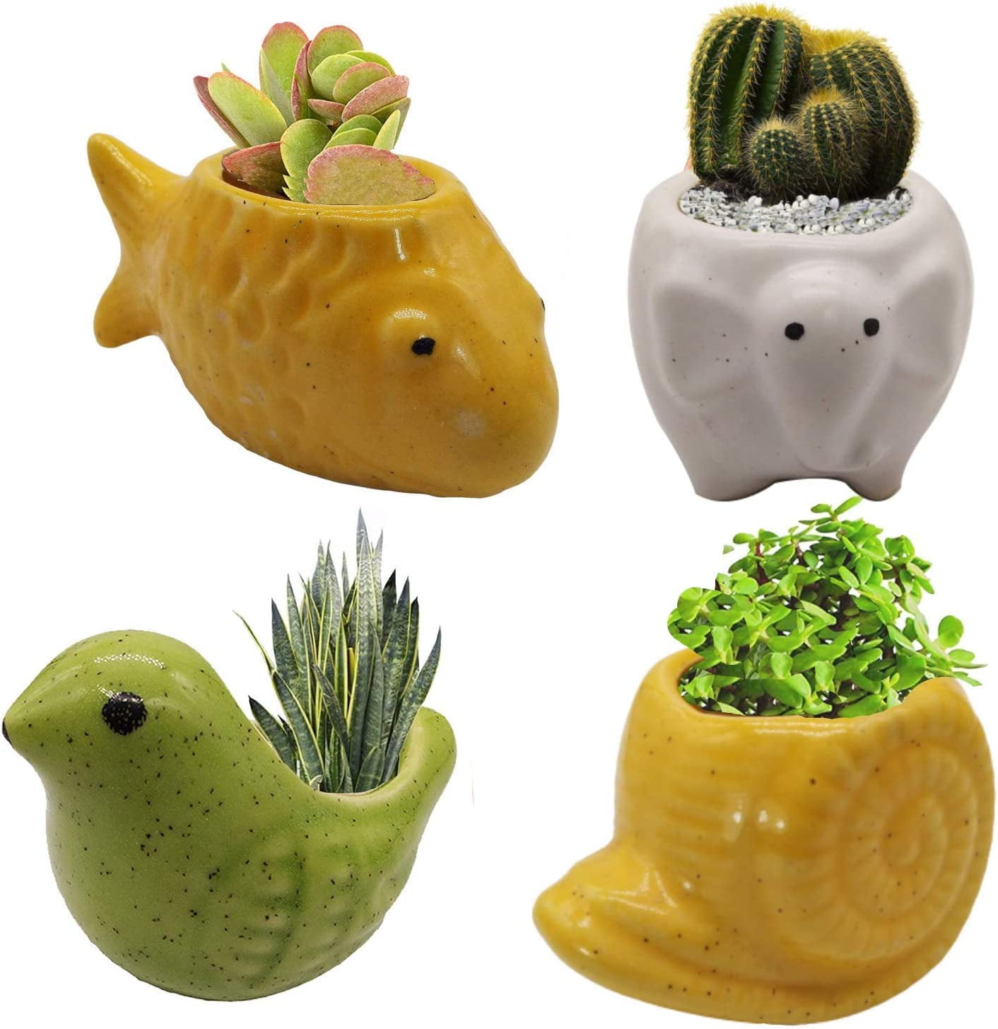 India Meets India Ceramic Flower Pot Planter Plant Pot Indoor Planter ...